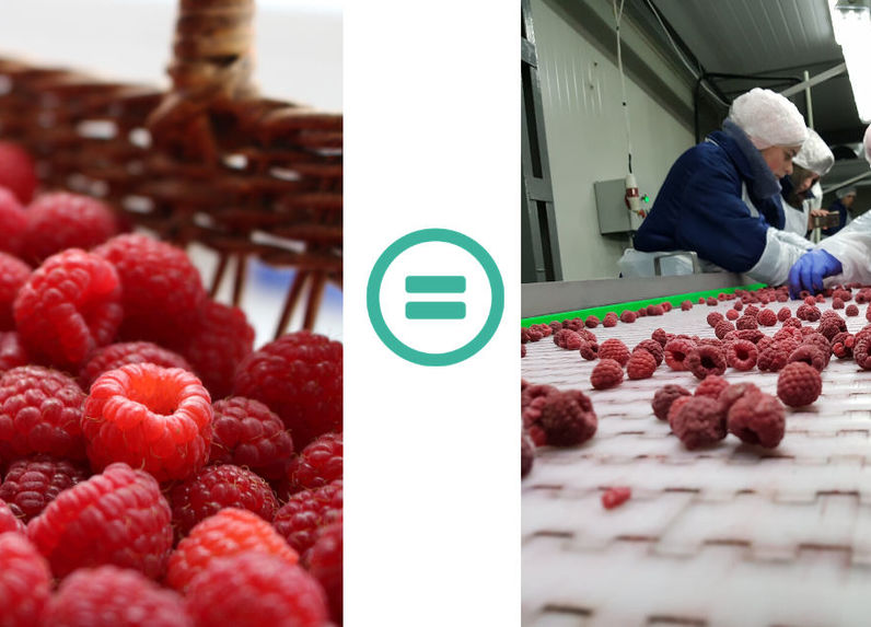 Quality processing. Guaranteed Profit